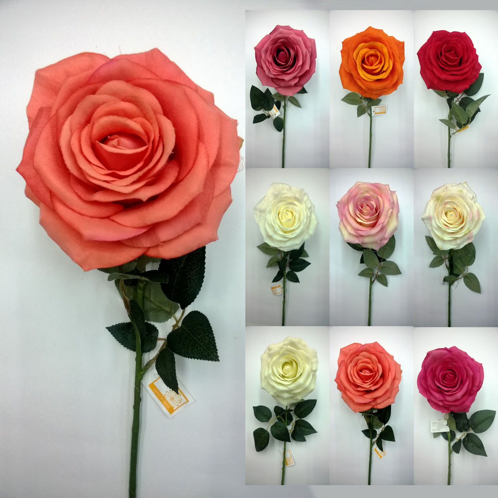 Rosa Abierta x1 (H01207) | Pruebas