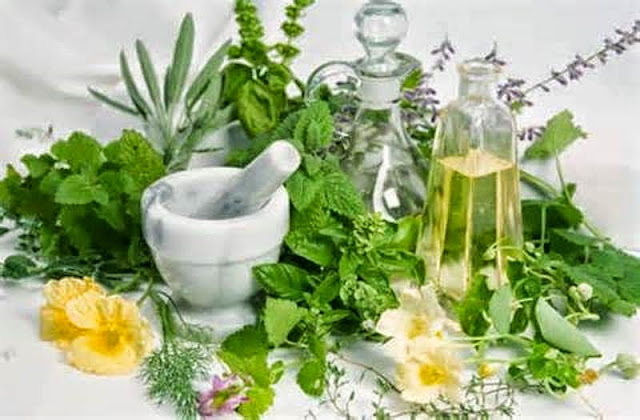 Homeopathy: A Safe and Effective Cure for All Diseases #HealthZone ...