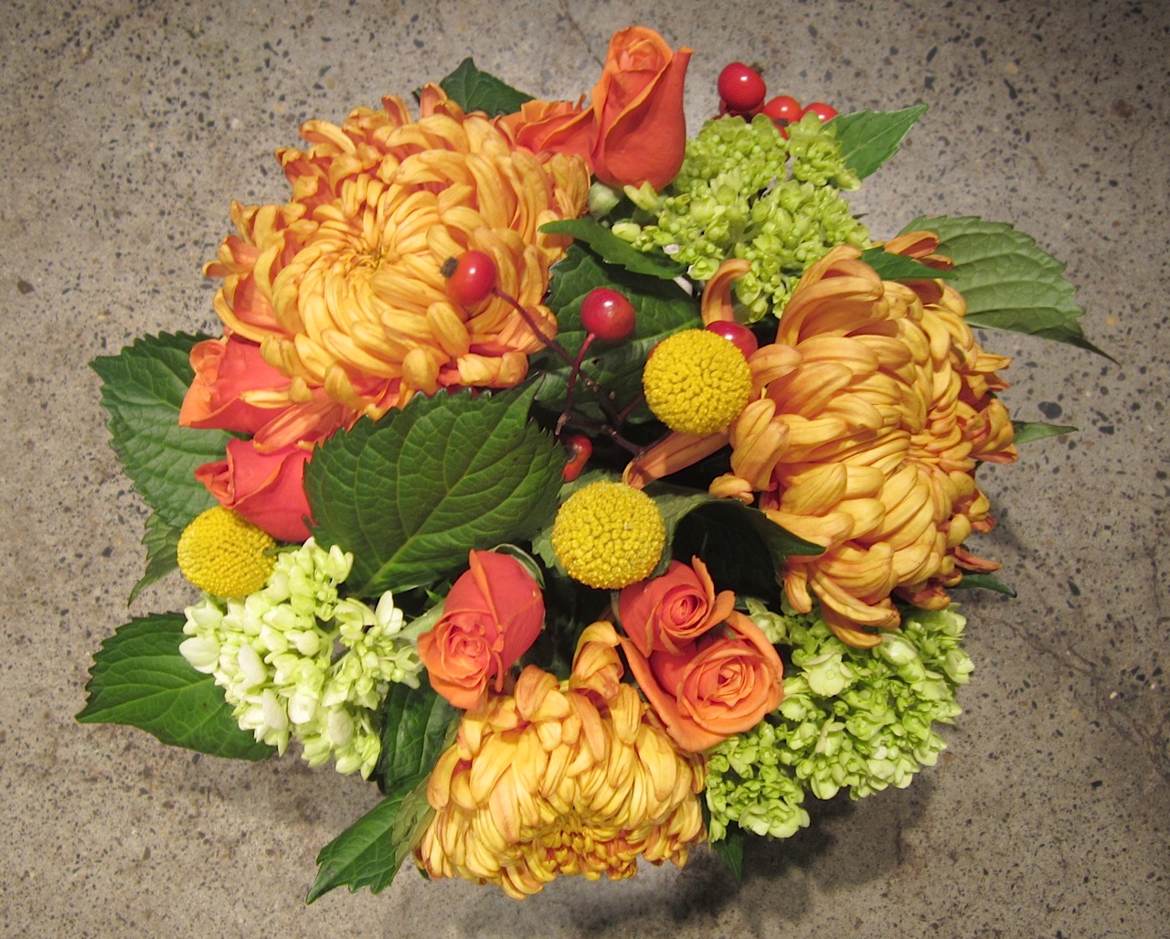 Sammy’s Flowers: November 2012