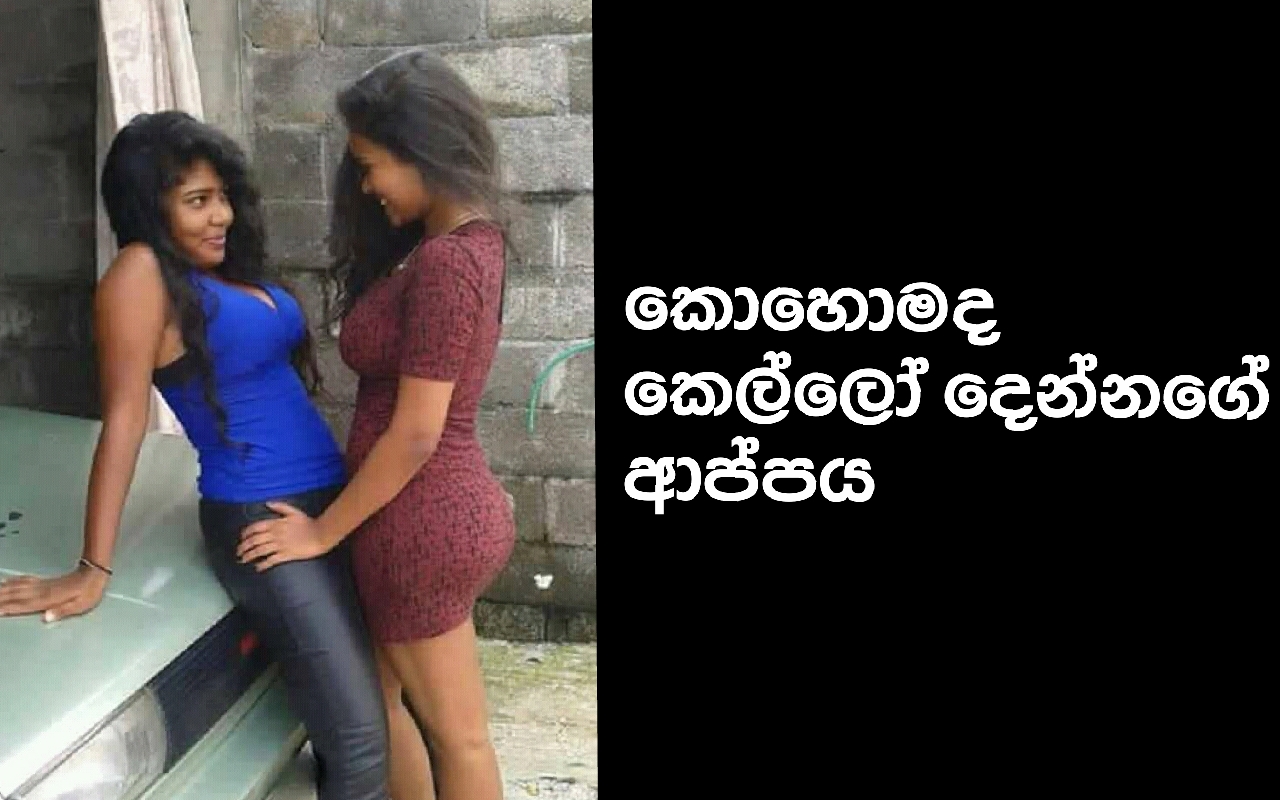 pissu kollo: February 2018