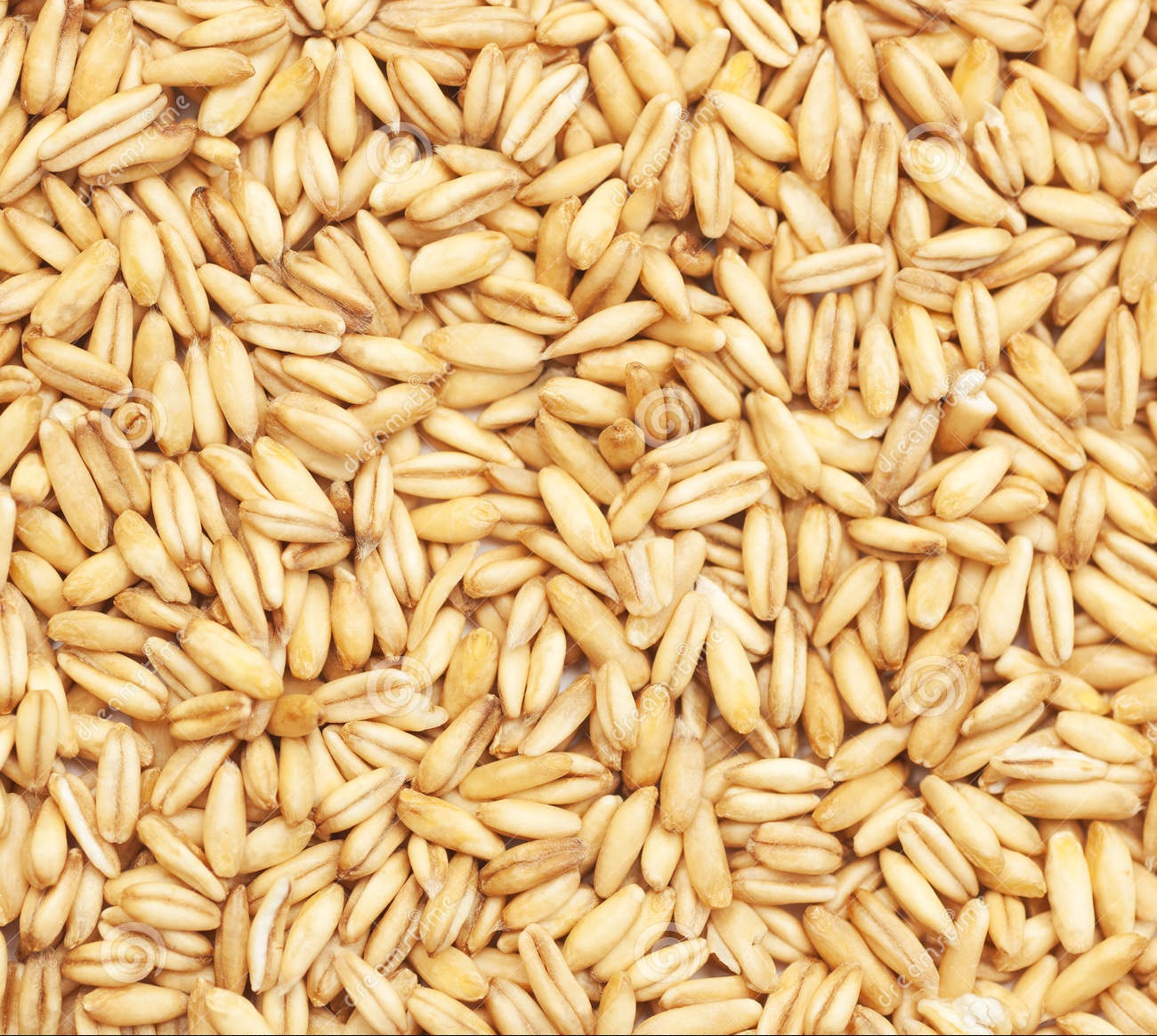 Univers Santé: L'avoine comme un remède