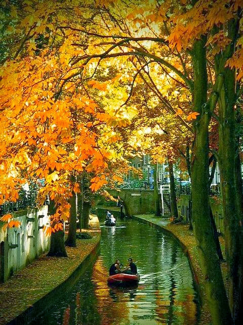 Autumn, Utrecht, The Netherlands | Fantastic Materials