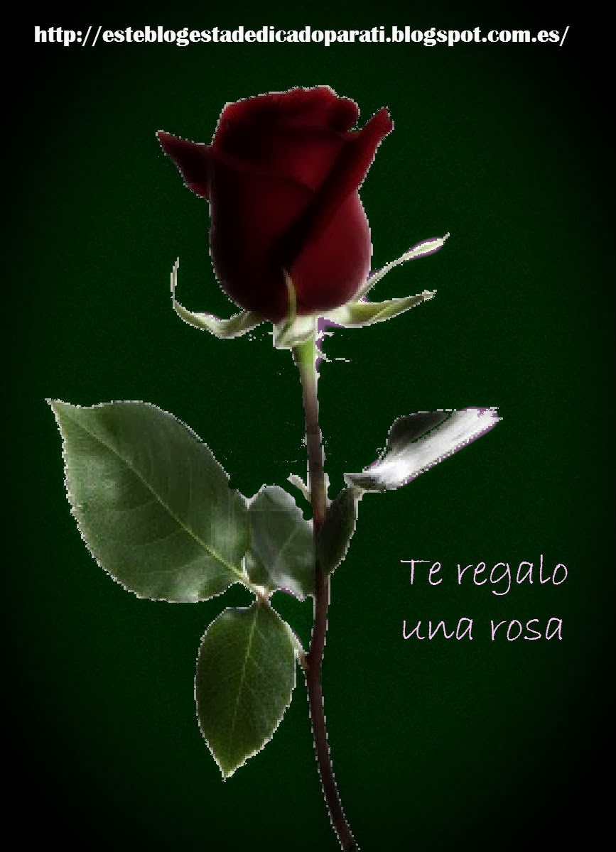 El amor de mi vida .... Nunca había sentido así antes: febrero 2014