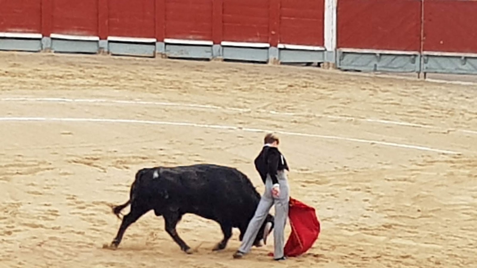 Del toro al infinito: EL FESTIVAL DE CHINCHÓN CUMPLE 95 AÑOS ...