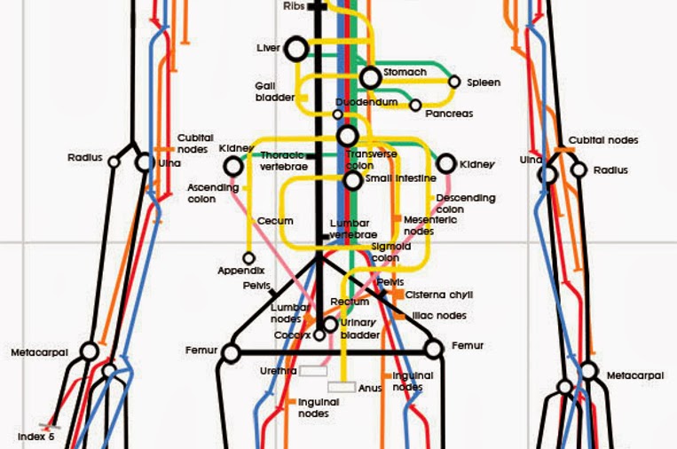 Design Stack: A Blog about Art, Design and Architecture: Human Body ...