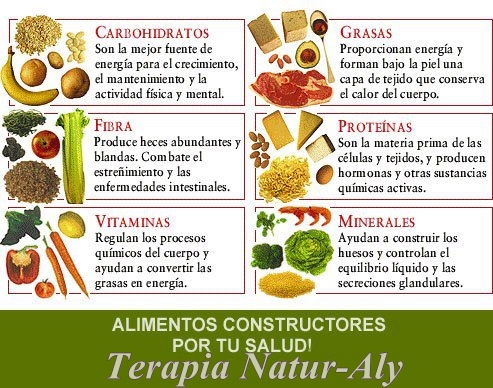 Terapia Natur Aly: Alimentos constructores para la salud