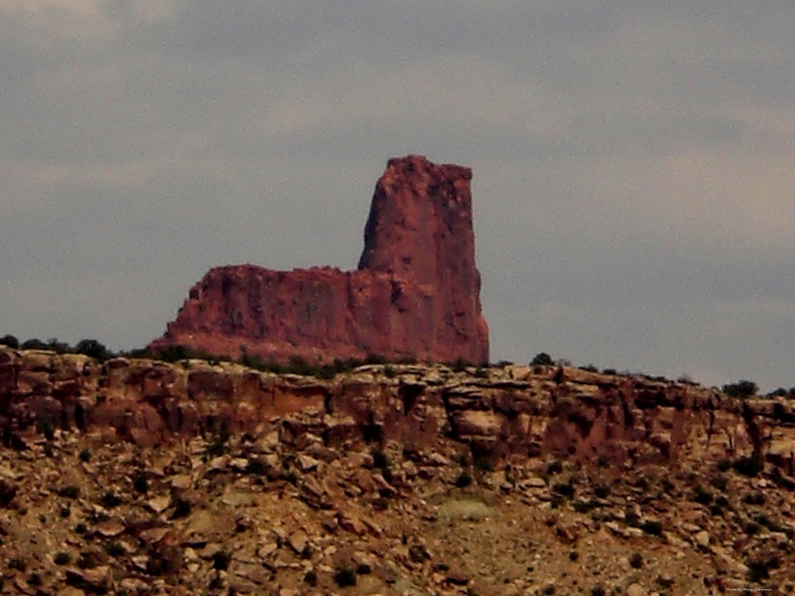 The Southwest Through Wide Brown Eyes: State Route 95 - Canyons, Hite ...