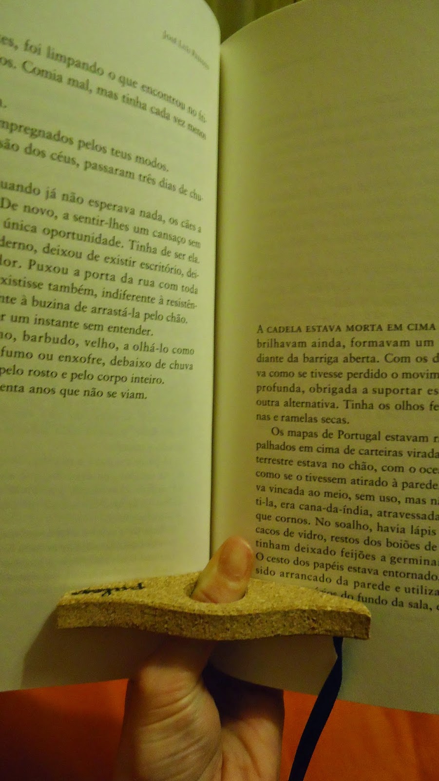 Fugir para Ler: Acessório de Leitura - Paler Design