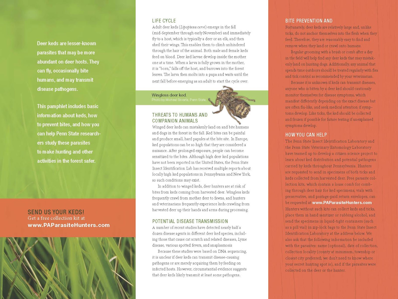 Central Pennsylvania Forestry: Pennsylvania Deer Parasite Research Project