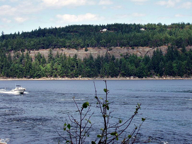 Everything Nanaimo: DODD NARROWS