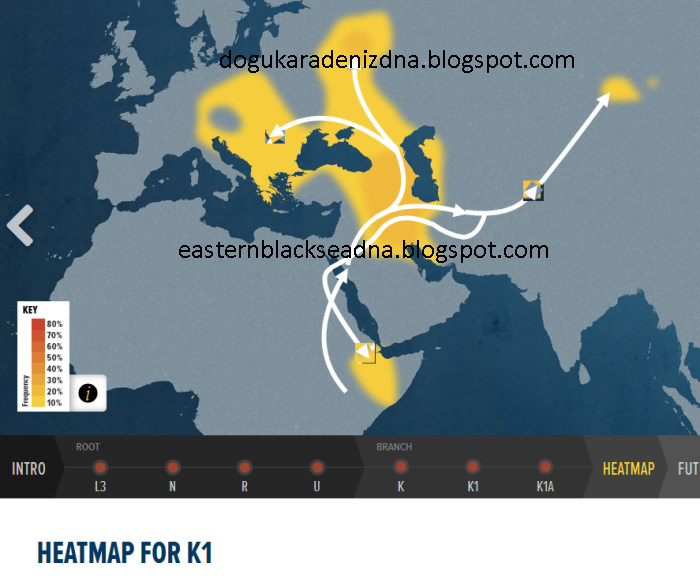 Eastern Black Sea DNA: Trabzon mtDNA Haplogroups
