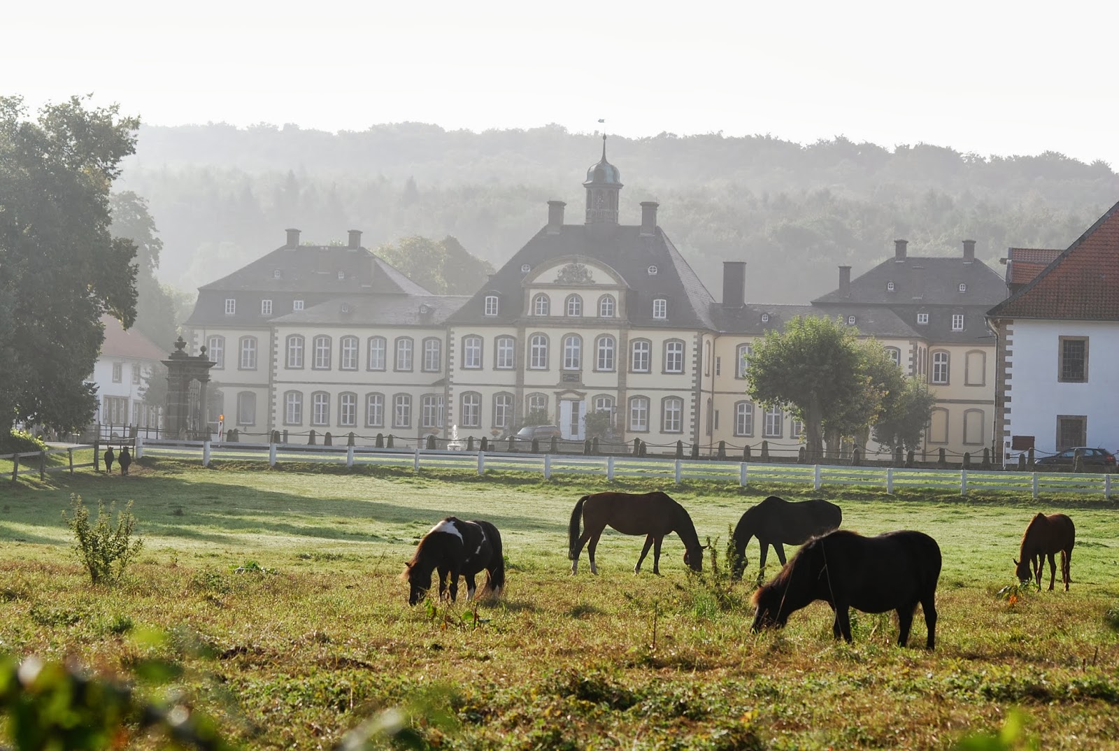 Reiseberichte: Schloss SÖDER und die Umgebung