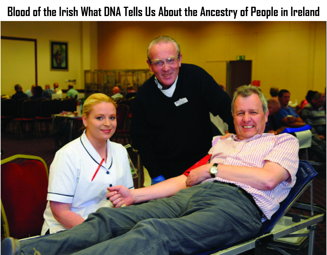 Blood of the Irish What DNA Tells Us About the Ancestry of People in ...