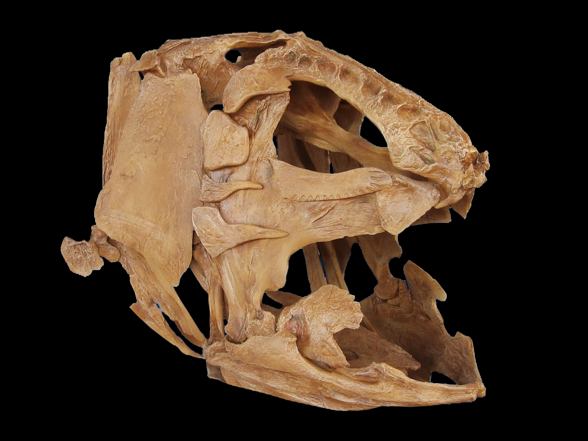 The Expeditioner's Discovery Guild: A little bit of Everything: Museums ...