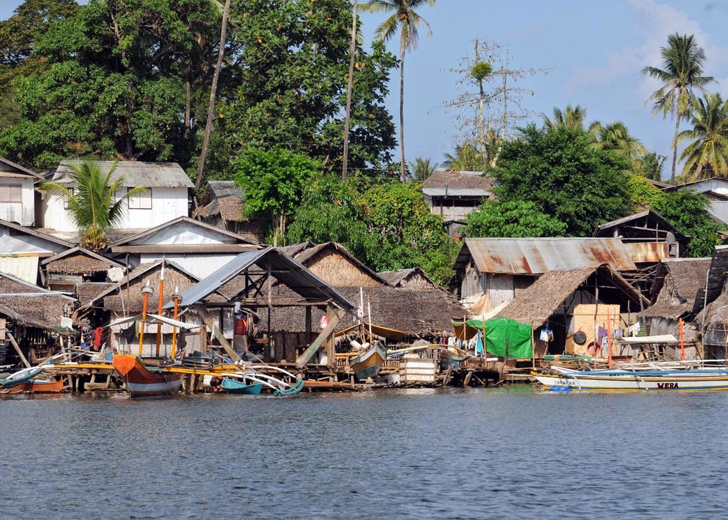 Savannah: Rio Tuba, Philippines