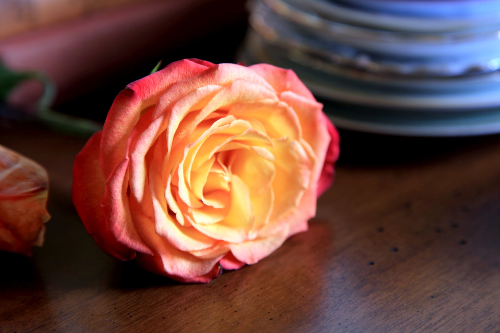 Pretty Orange Palette