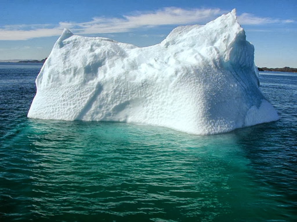Andy foto natura: Iceberg