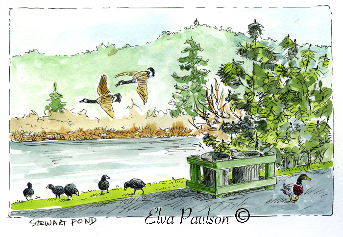 Elva's Field Notes: Selective Listening