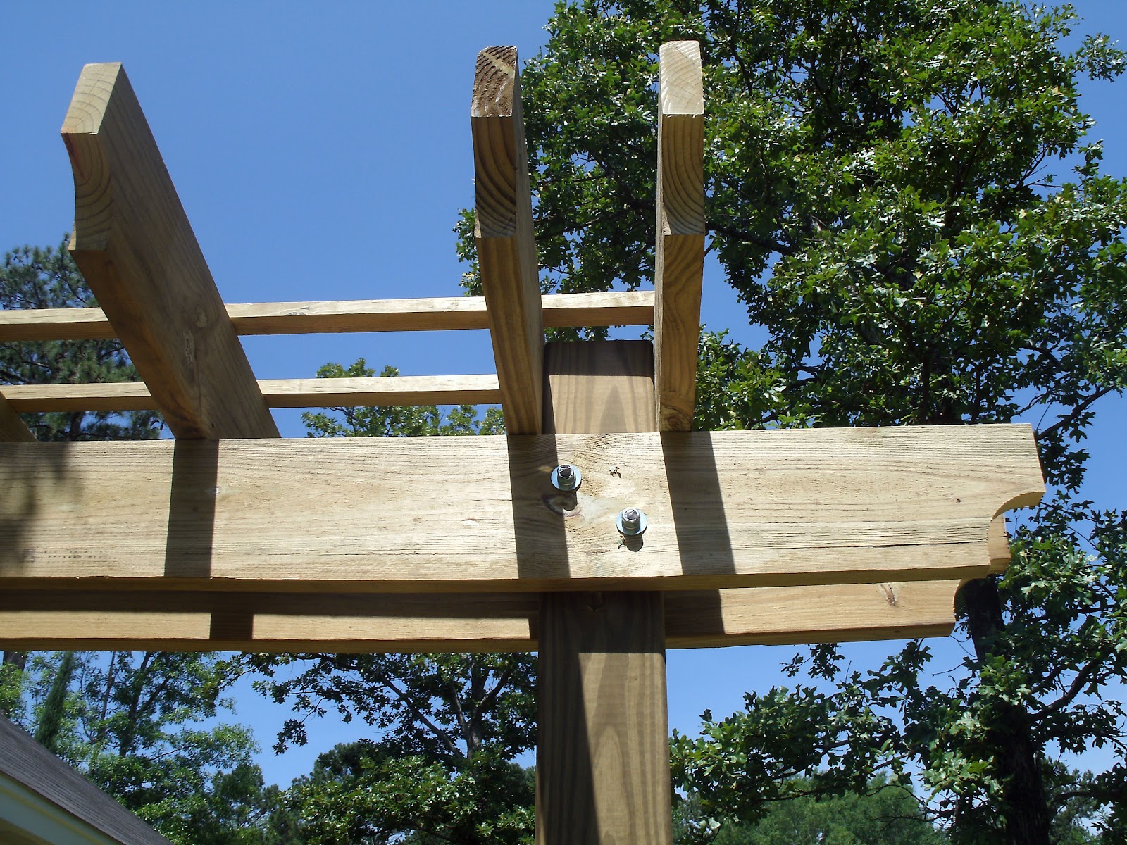 d+p design build: Backyard Wood Structures