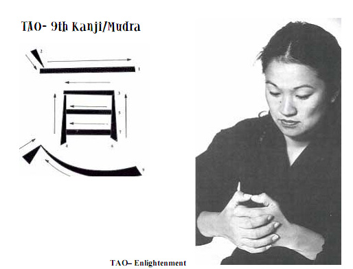 Ninja Mudra - The Ninja Secret Healing - NAQSDNA.com