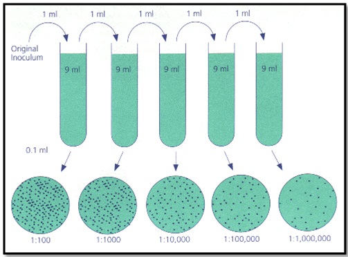 science information network