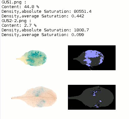 ZMBP Zeugs: GUS Staining - Python program