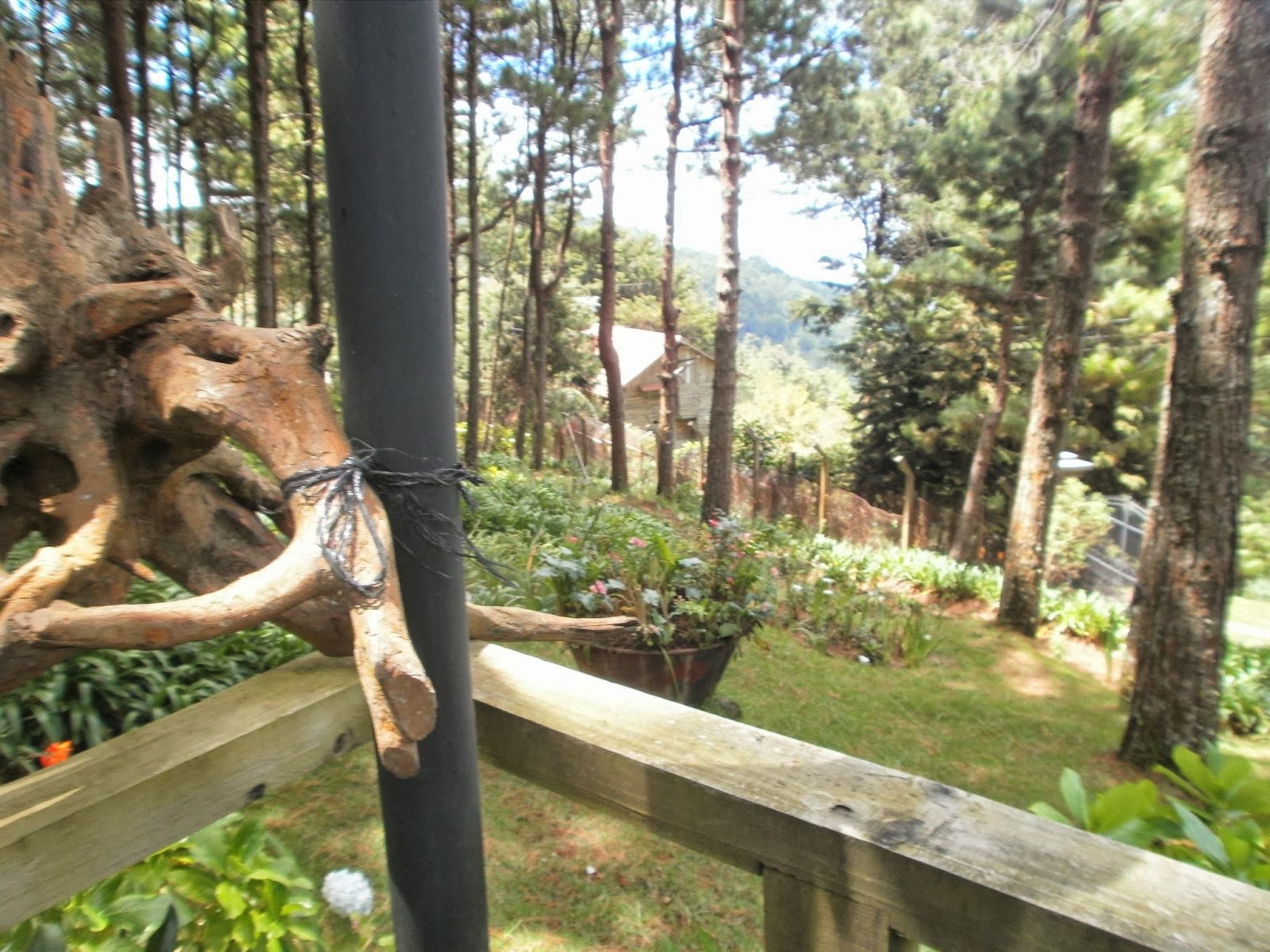 TURISMO TRES DESTINOS: REMEMBRANZA TOUR LA PALMA PITAL