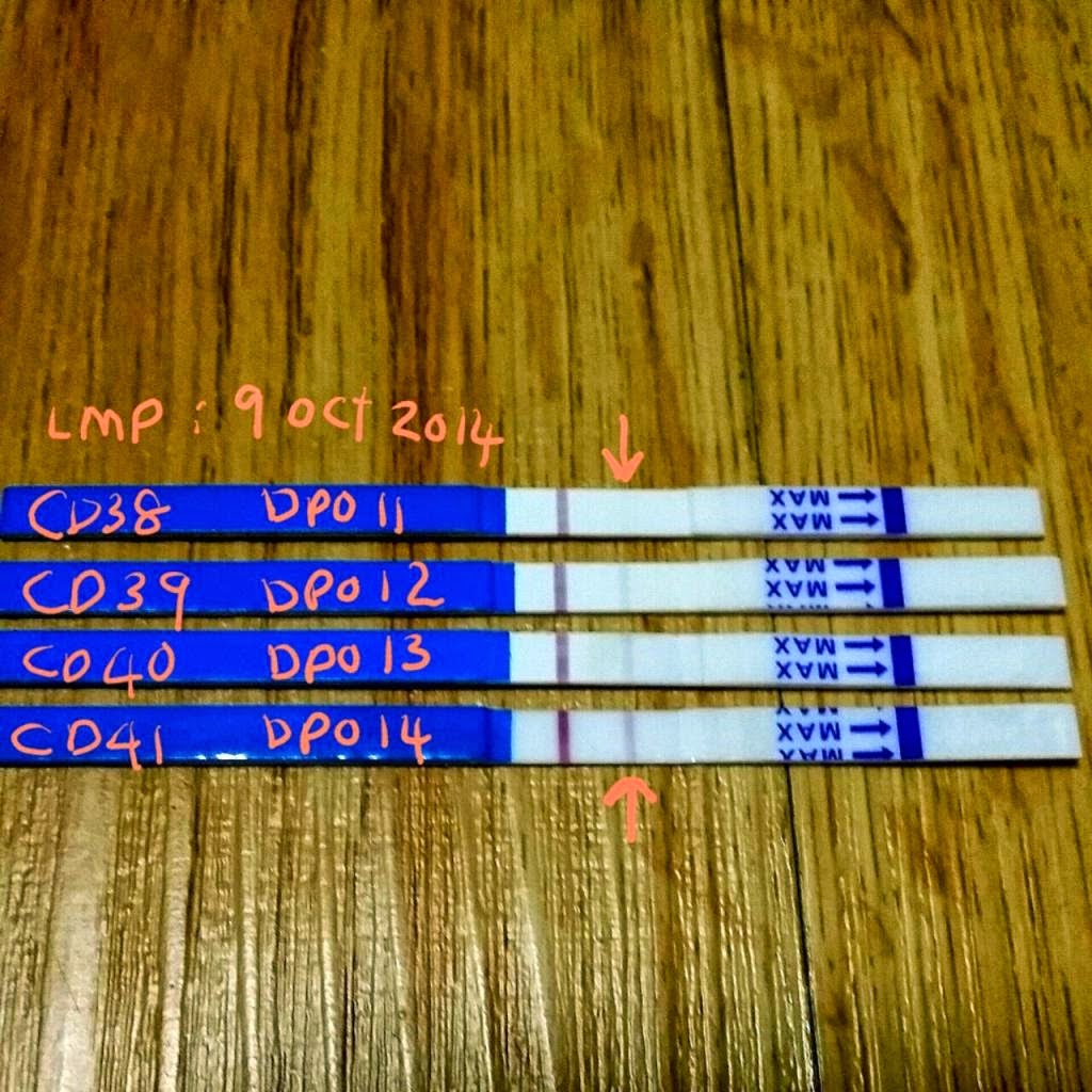 PREGNANCY TEST (UPT) MURAH GALLERY | Ovulation test kit (opk ...