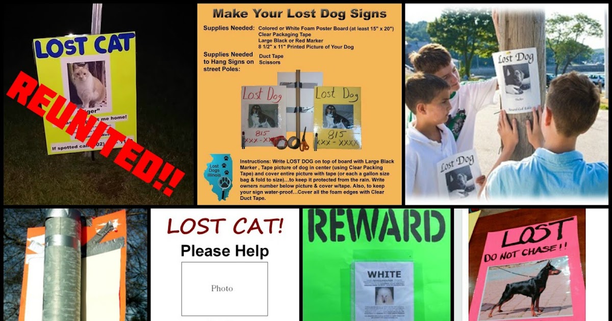 Lost Pet PR | Delmarva's Lost and Found Pet Network: Making Signs And ...