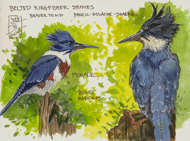 Jan Blencowe's Sketchbook Hypothesis: Nature Sketches Jan Blencowe's Sketchbook Hypothesis: Nature Sketches