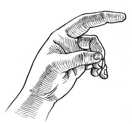 The Expressive Figure: Hatching Topologies for the Artist