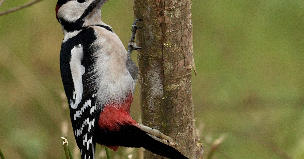Alan James Photography : Stithians Reservoir,