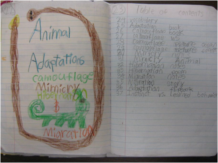 Science Notebooking: Animal Adaptations - Adrienne Teaches