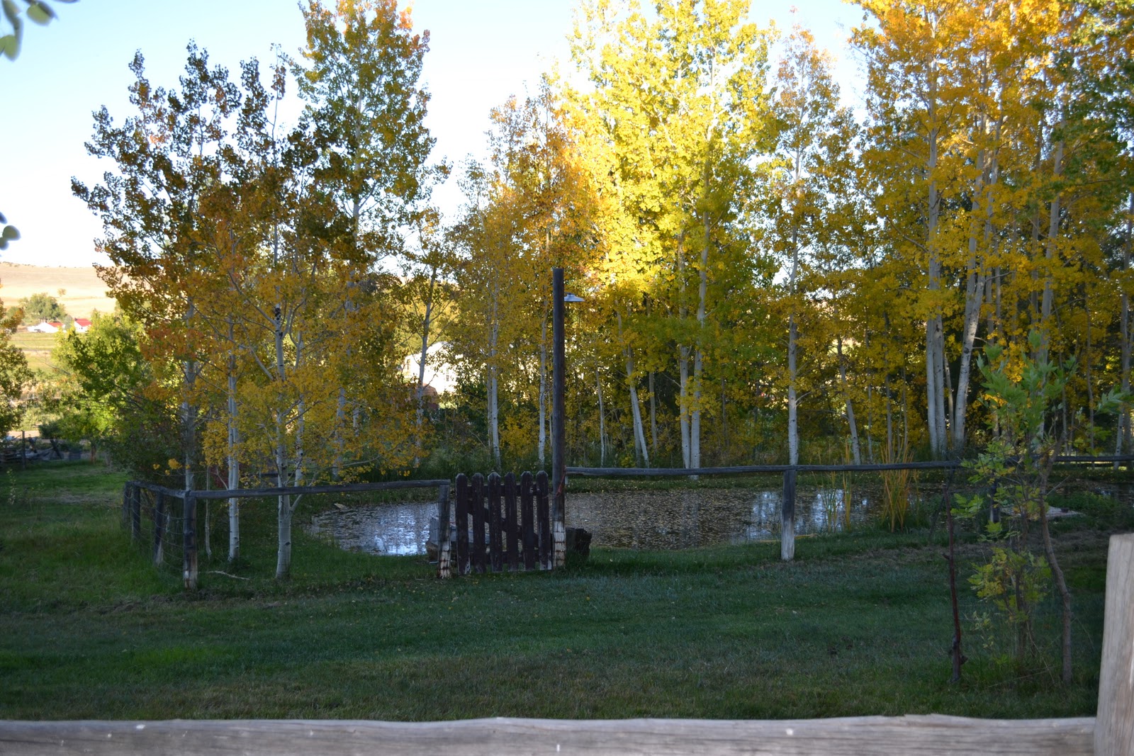 Aspen Springs: Welcome to Aspen Springs