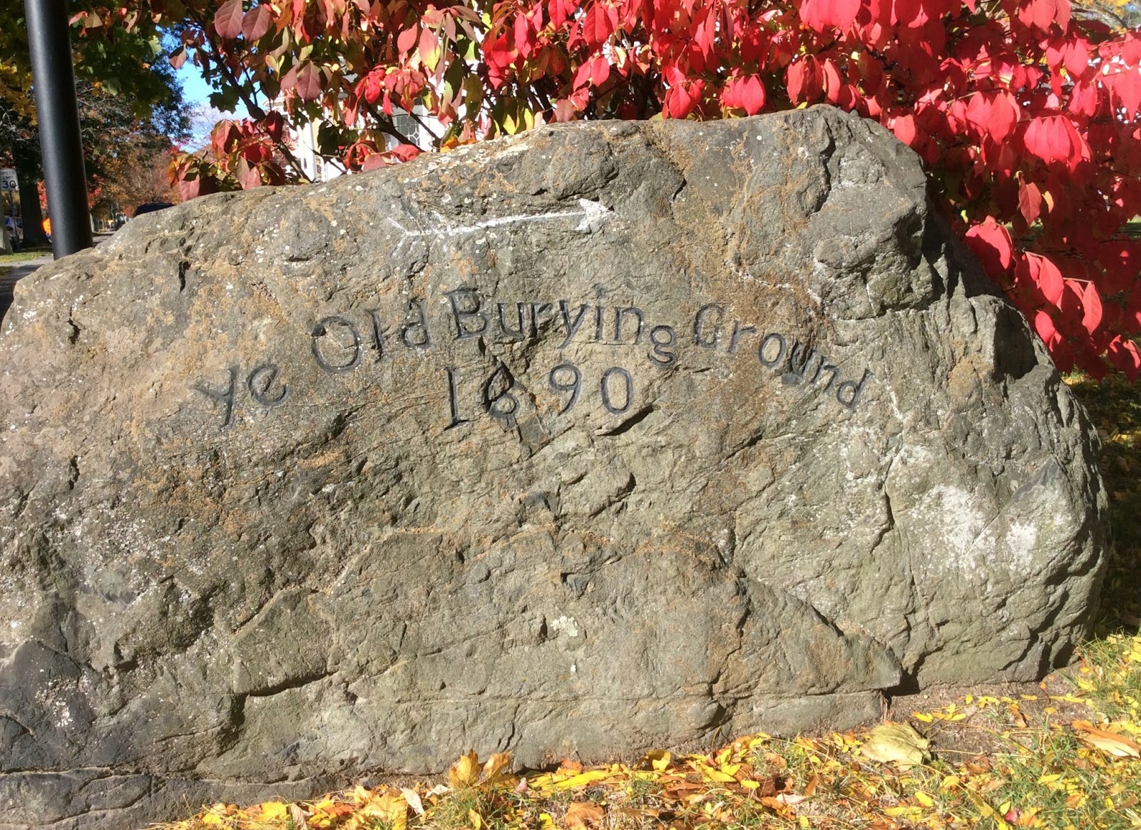 Life From The Roots: If Only All Cemeteries Would Do This