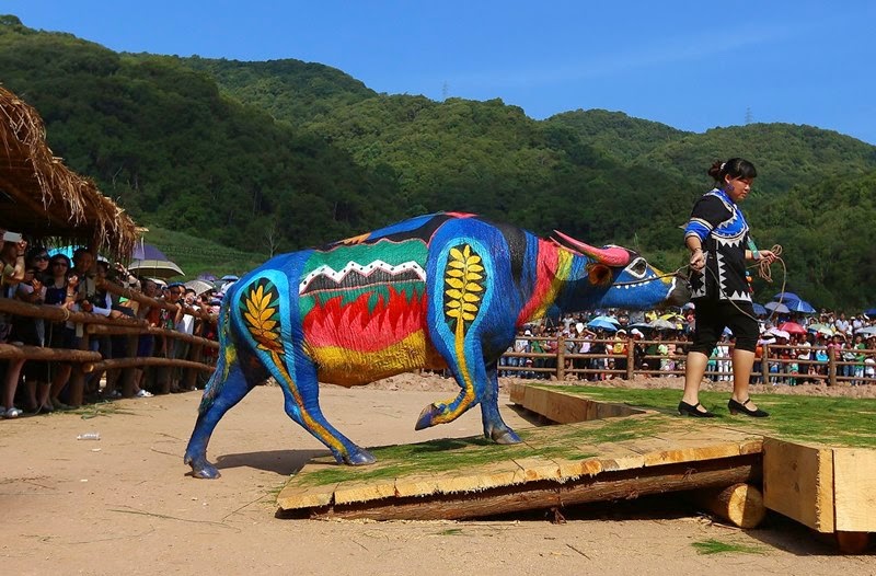 Buffalo Body-Painting Competition, China