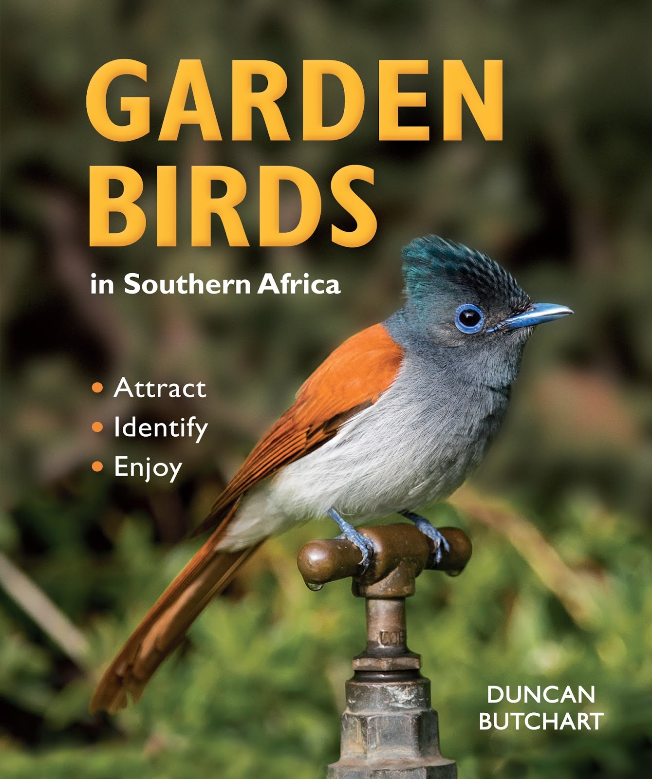 Southern Africa's Ramsar Sites: GARDEN BIRDS in Southern Africa
