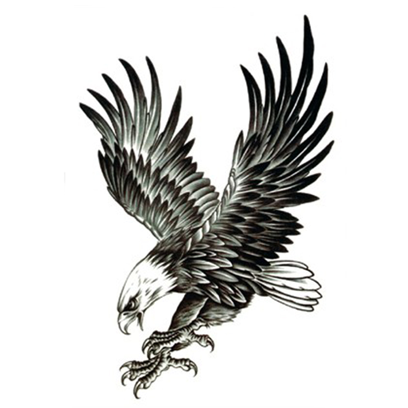 cool eagle tattoo designs ~ Tattoo Creator