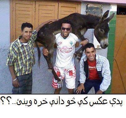 getty images and pictures: Pashto Jokes