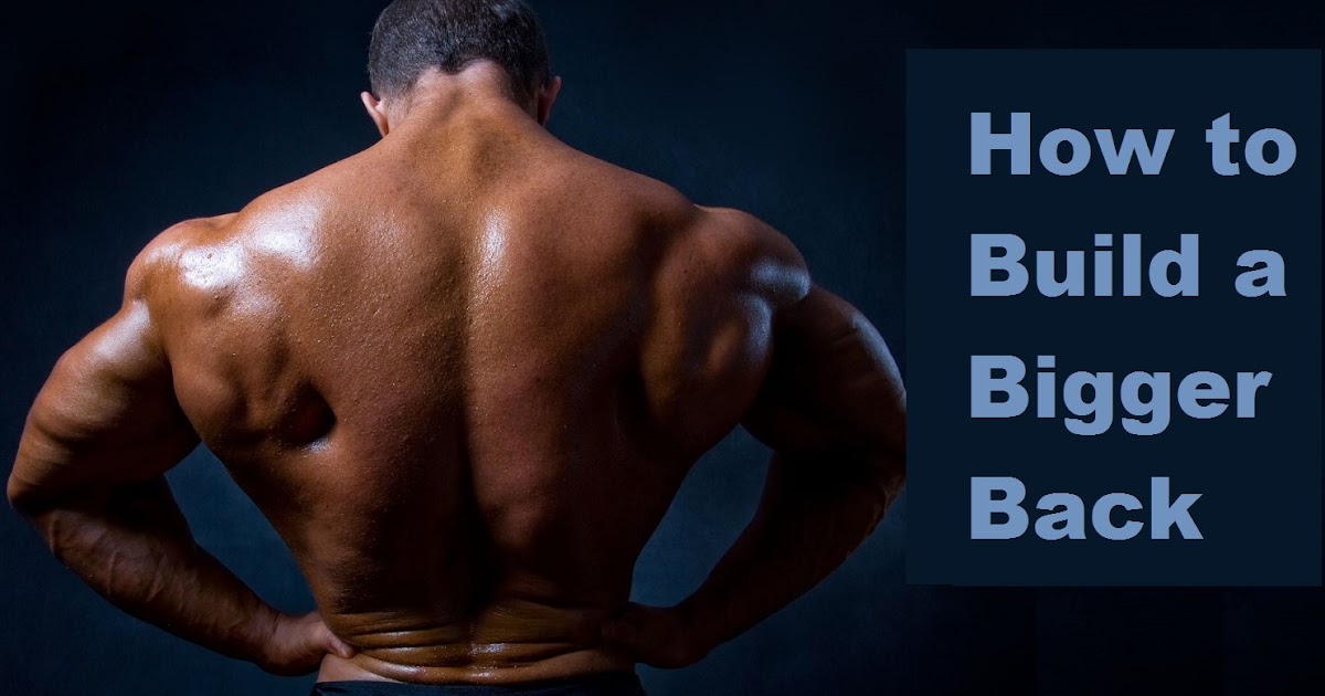 Muscle Palace: The 6 Best Muscle-Building Back Exercises