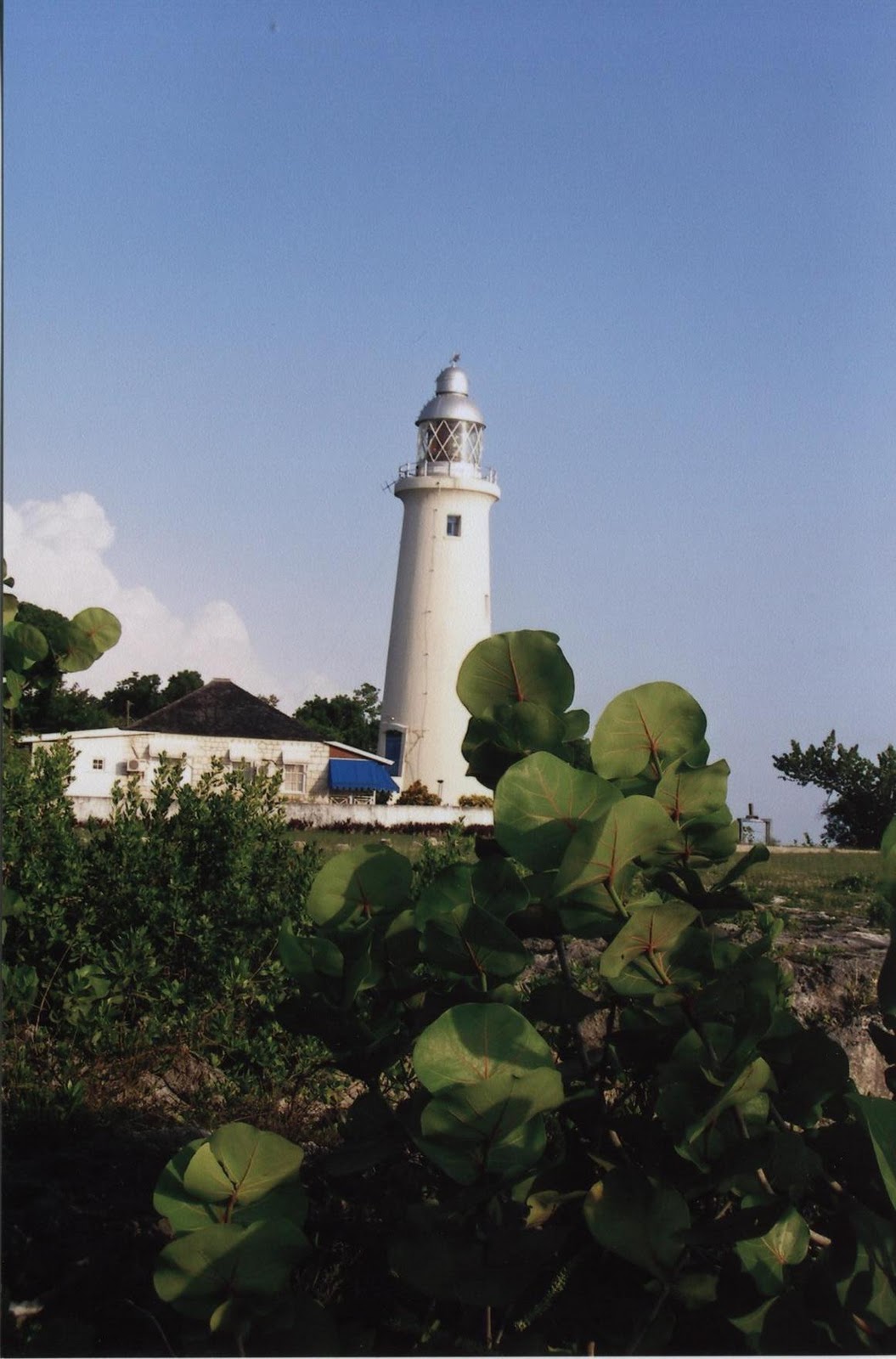 Lighthouses, Birds, Wildlife, Oh My!