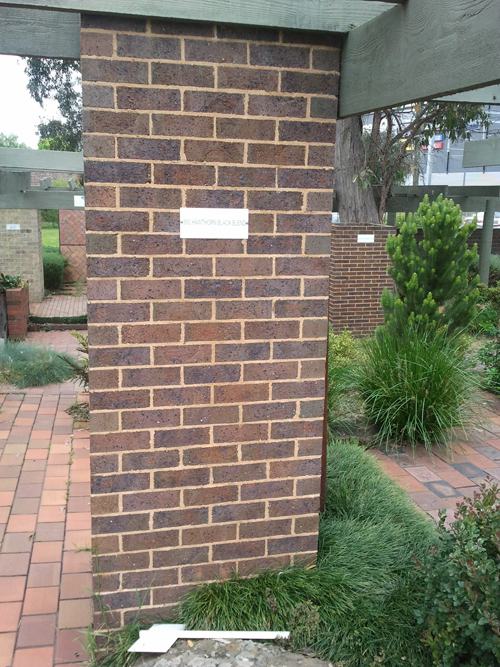 The House, The Car, The Kids...: Daniel Robertson Bricks