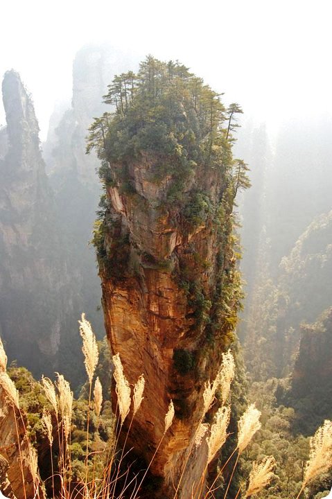 Curiosidades del Mundo: El Parque Forestal Nacional de Zhangjiajie ...