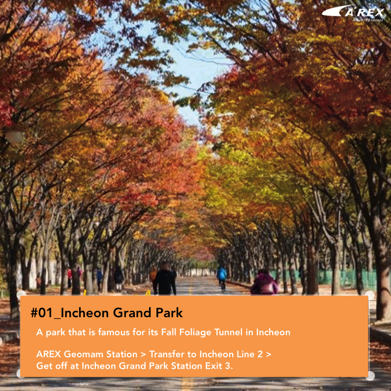 AREX: 7 Best Places to Enjoy Fall Foliage in Seoul and Incheon