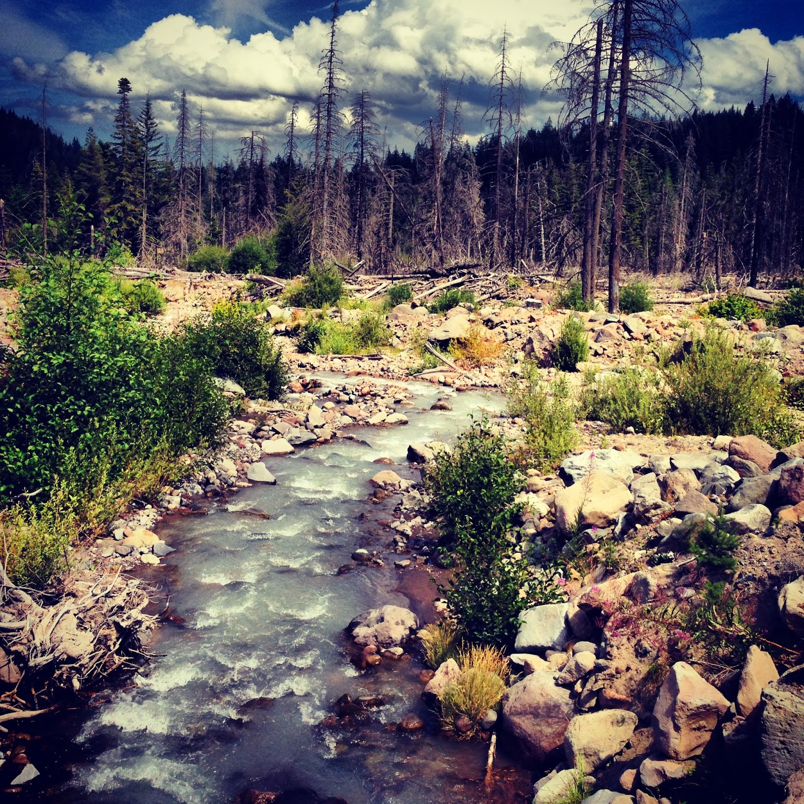 Ten Favorite Things About Oregon | From Ashley to Awesome