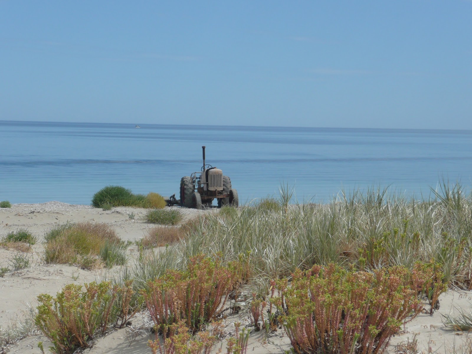 Nele & Andrew Around Oz: Peter & Paula’s Shack (P&P’s Shack & Breakfast ...