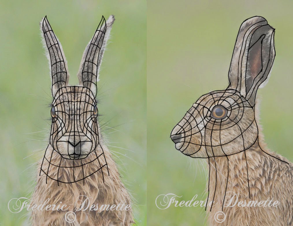 Pushing Rocks: March 2015