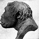 WORLD HISTORY: SEJARA KRONOLOGIS PERKEMBANGAN BIOLOGIS MANUSIA PURBA ...