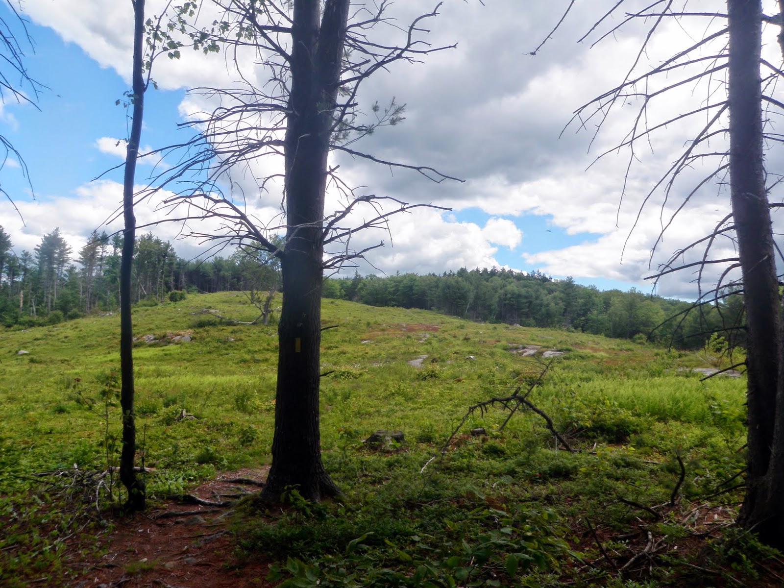 Trekking For A Cure. Giving MS The Boot!!: Monroe Hill (Fox State ...