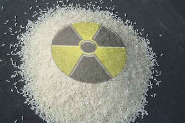 Ρύζι με ραδιενέργεια - Agro-Help.gr